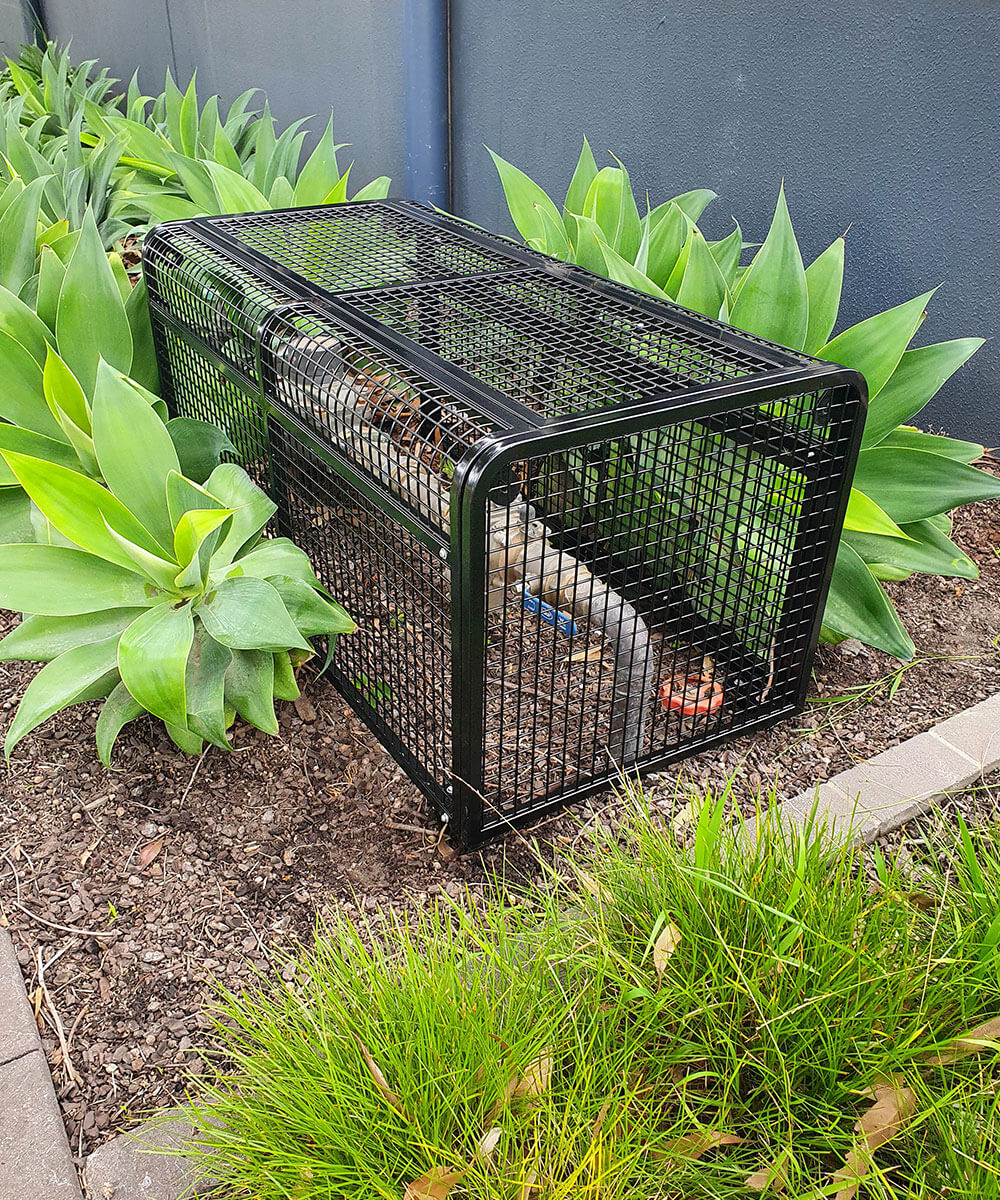 Why use Cages to Protect Water Meters – Avantage Australia